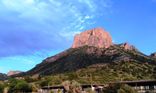 The Ultimate Big Bend Field Trip Guide & Checklist - Field Trip Texas