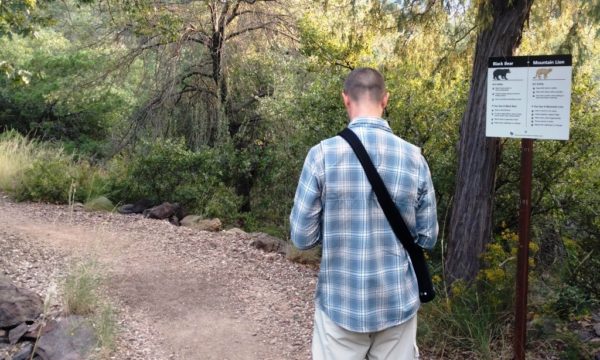 The Ultimate Big Bend Field Trip Guide & Checklist - Field Trip Texas