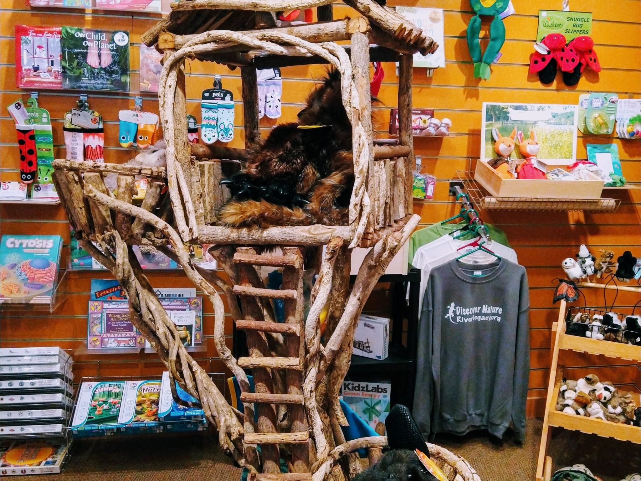 Visit an Interactive Nature Center in the Park - Field Trip Texas