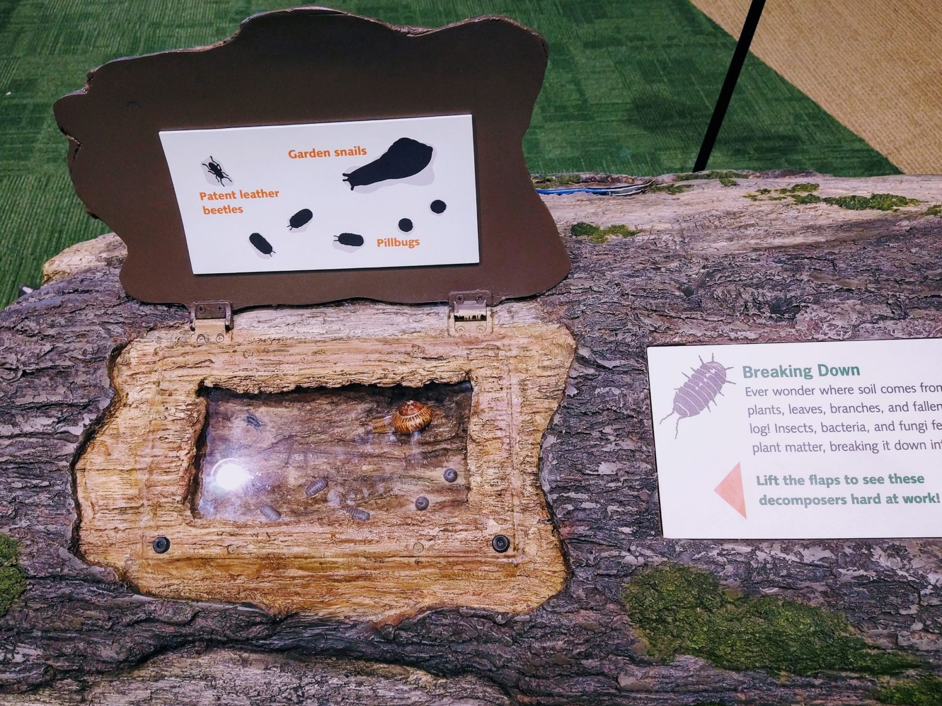 Visit an Interactive Nature Center in the Park - Field Trip Texas