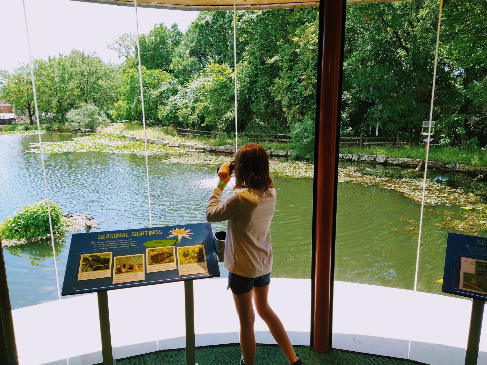 Visit an Interactive Nature Center in the Park - Field Trip Texas