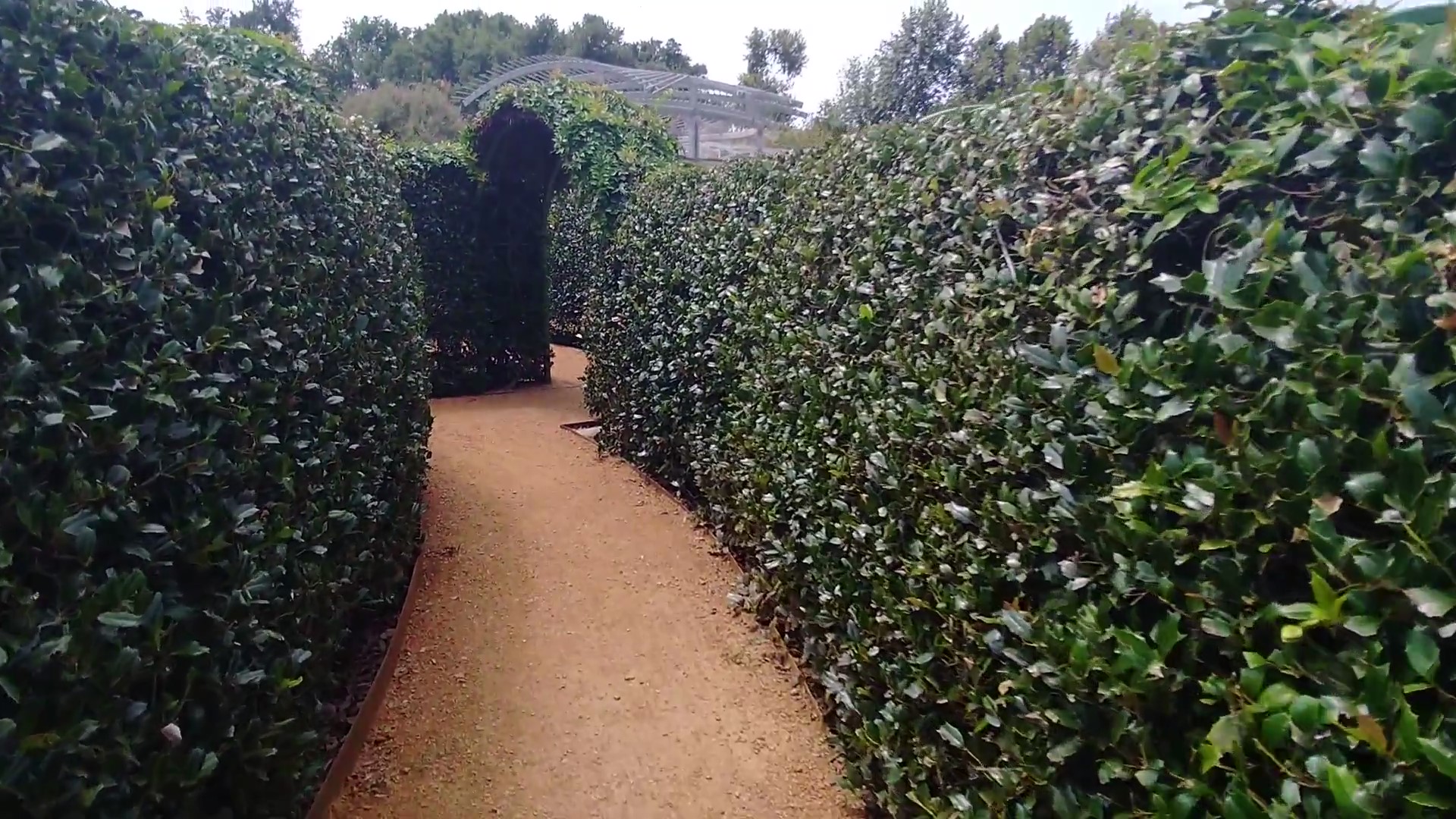 Discover the Most Engaging Children’s Garden in Texas - Field Trip Texas
