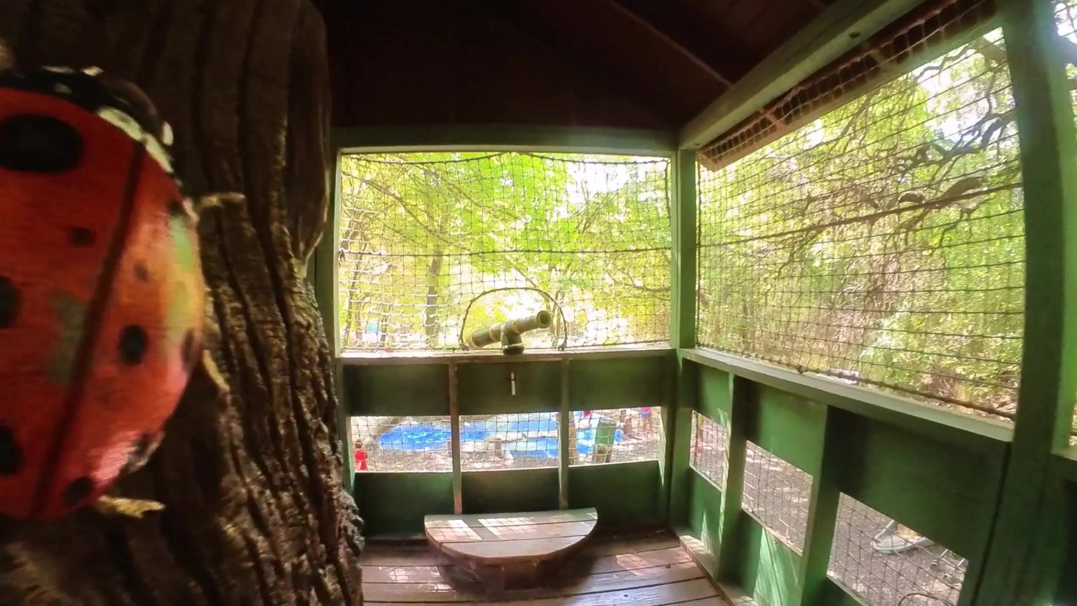 Waco Zoo Shows Off 52 Acres of Natural Habitats | Cameron Park Zoo ...