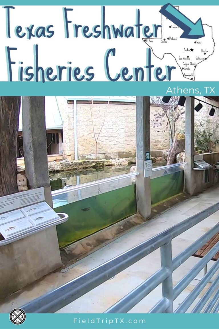 Texas Fish Impress at the State's Freshwater Fisheries Center | Athens ...