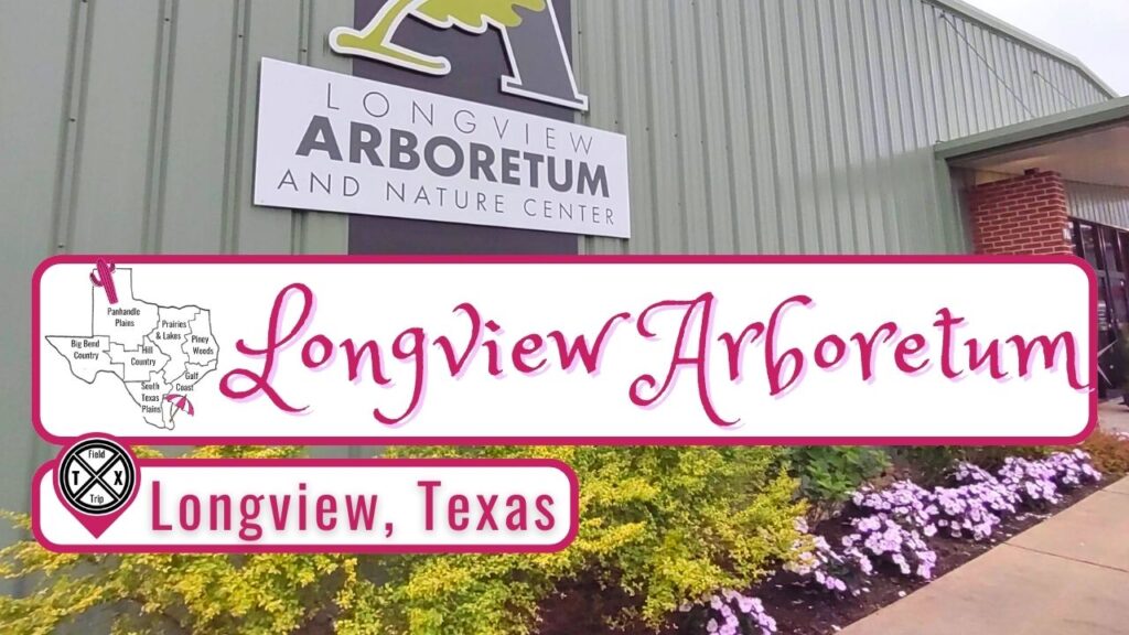 This Garden in Longview, Texas is a Hidden Gem for Nature Lovers ...