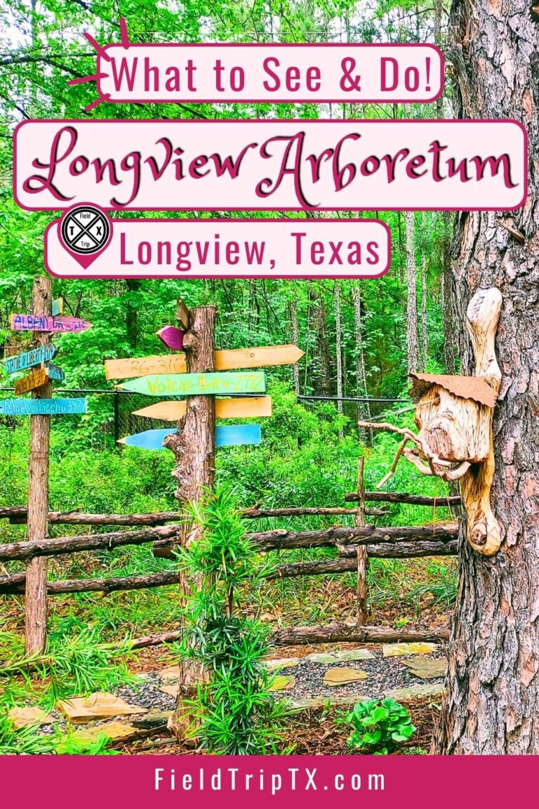 This Garden in Longview, Texas is a Hidden Gem for Nature Lovers ...