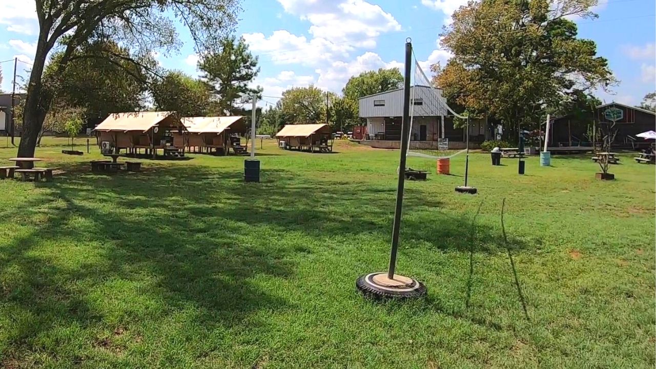 Have a Sweet Afternoon at This Century Old Honey Farm - Field Trip Texas