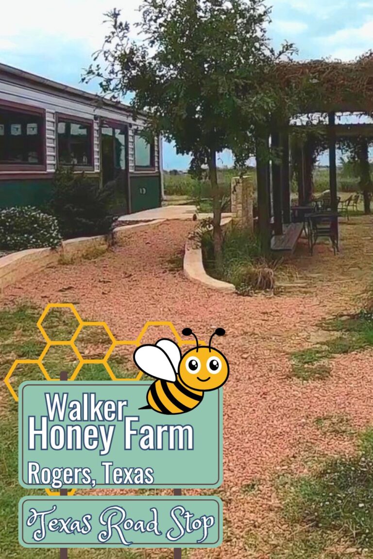 Honeybees Shine at this Buzzworthy Farm in Central Texas - Field Trip Texas