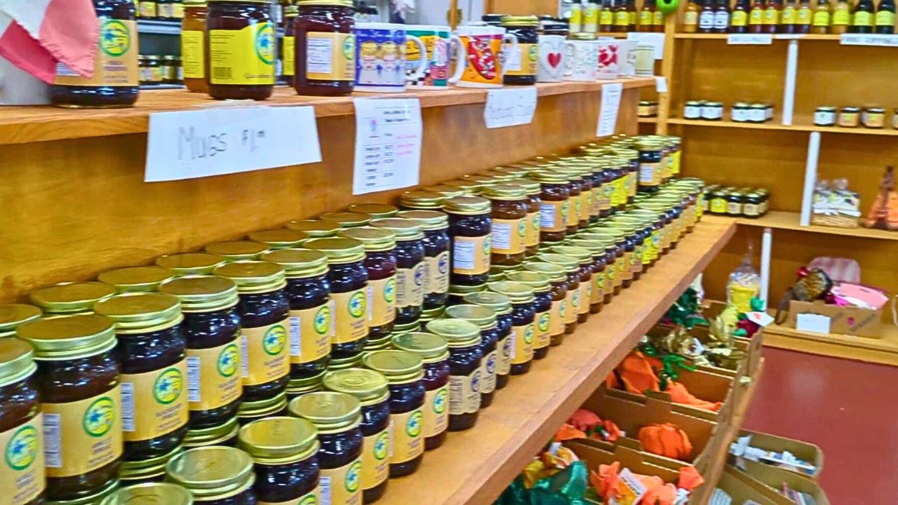 North Texas Blueberry Farm Echo Springs is a Hidden Gem - Field Trip Texas
