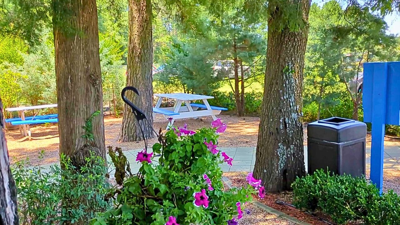 North Texas Blueberry Farm Echo Springs is a Hidden Gem - Field Trip Texas