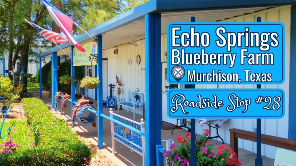 North Texas Blueberry Farm Echo Springs is a Hidden Gem - Field Trip Texas