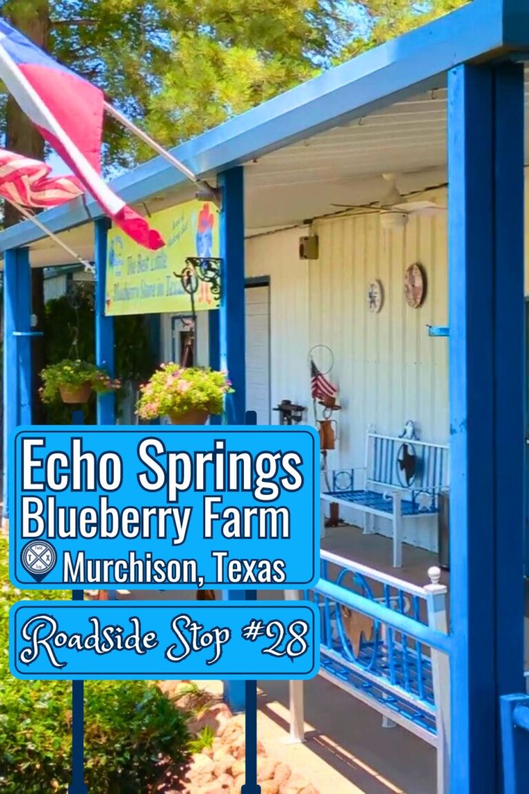 North Texas Blueberry Farm Echo Springs is a Hidden Gem - Field Trip Texas