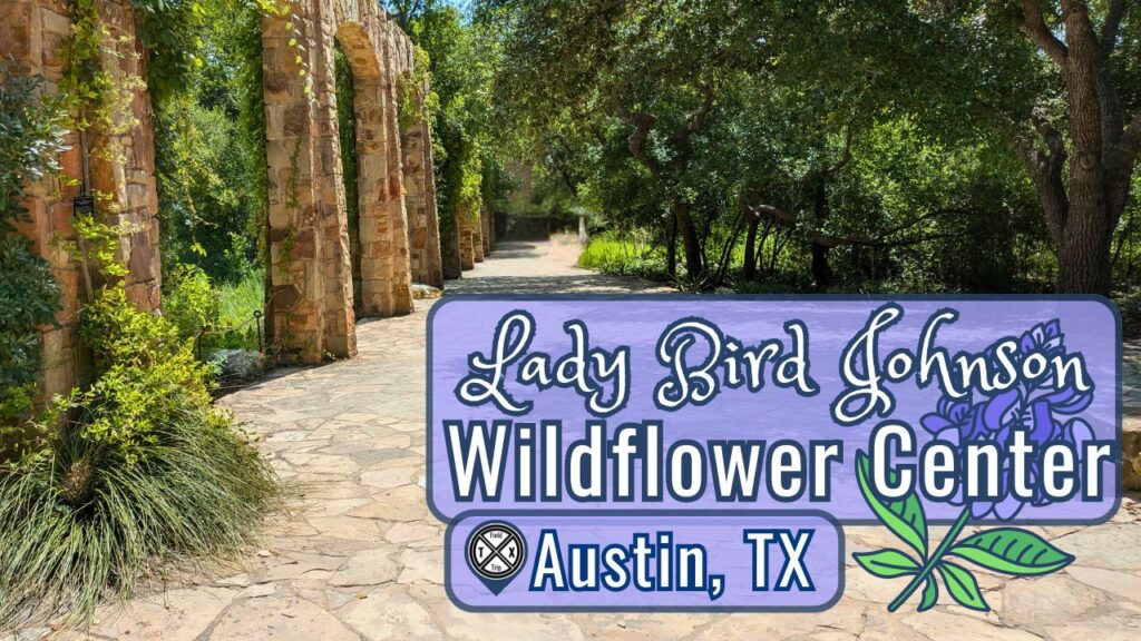 Texas Wildflower Center Presents Native Plants and Conservation Within ...