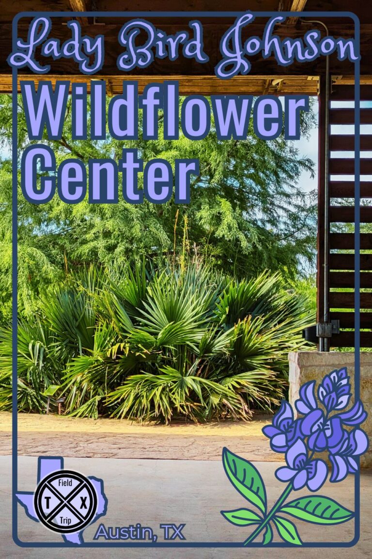 Texas Wildflower Center Presents Native Plants and Conservation Within ...