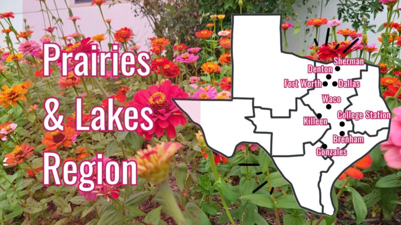Regions of Texas - Field Trip Texas