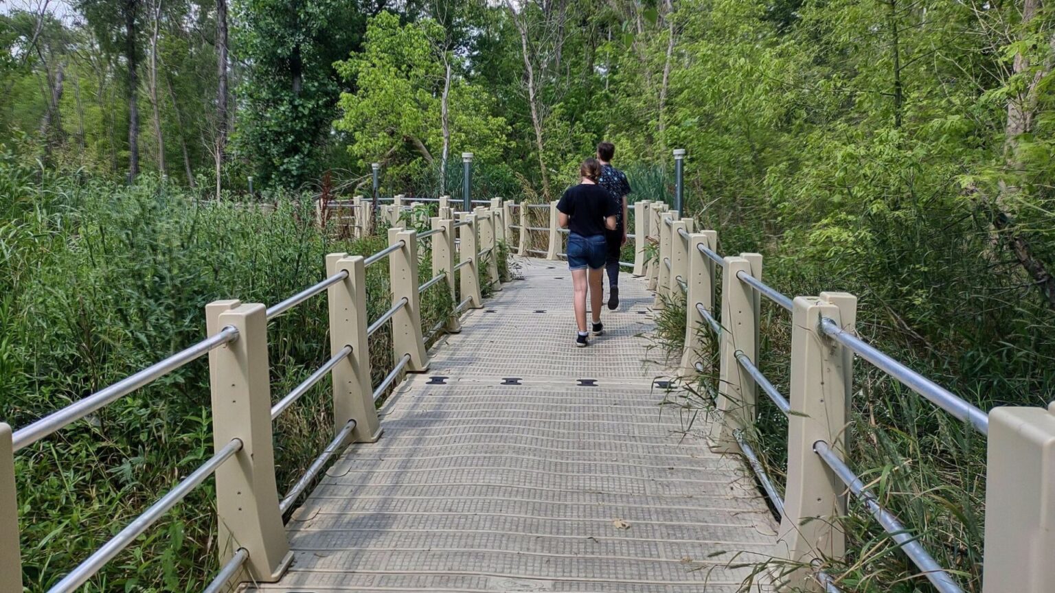 10 Places to Go for a Walk When You Need a Change of Scenery - Field ...