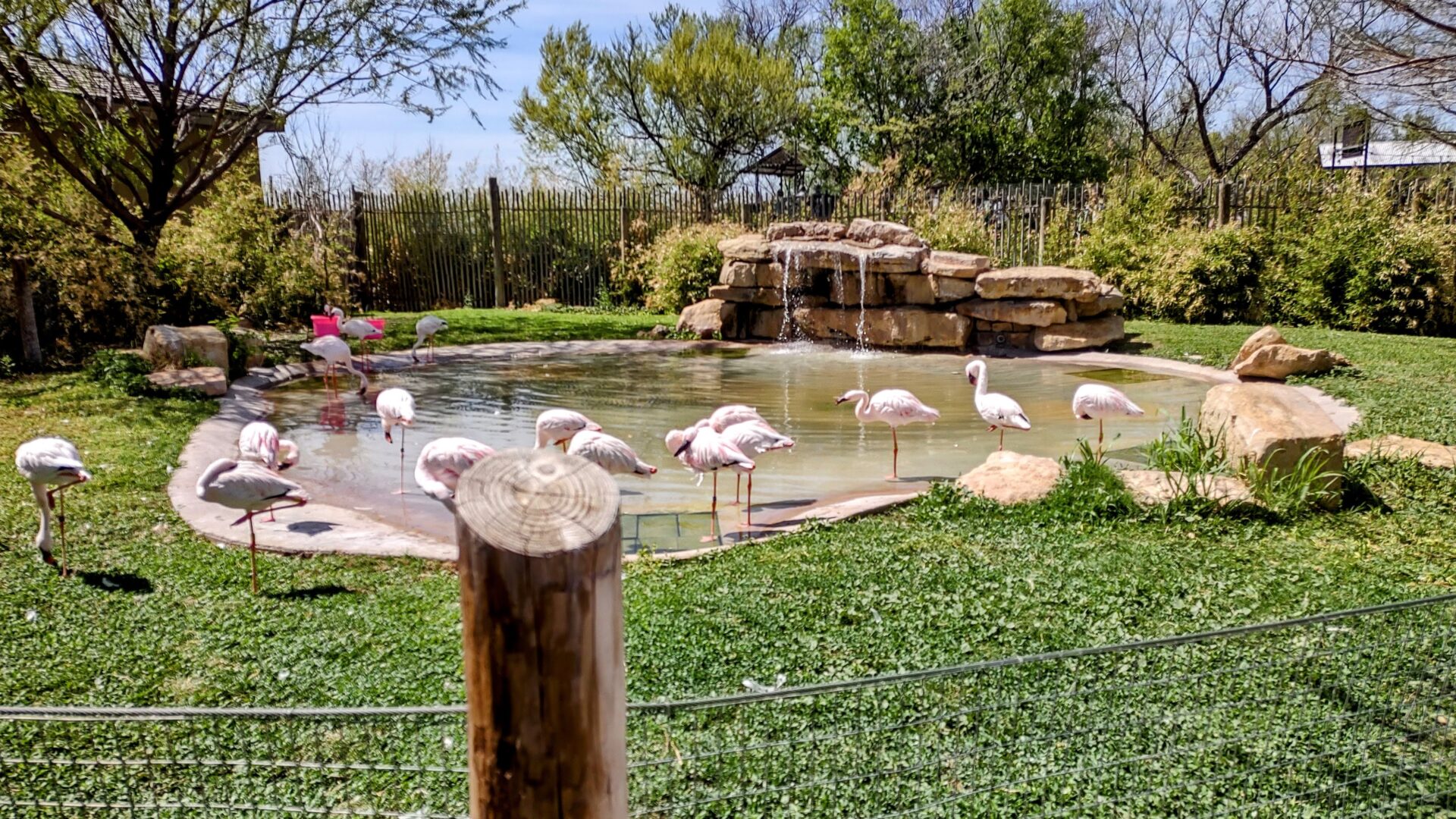 Explore the Family-Friendly Abilene Zoo in Texas - Field Trip Texas